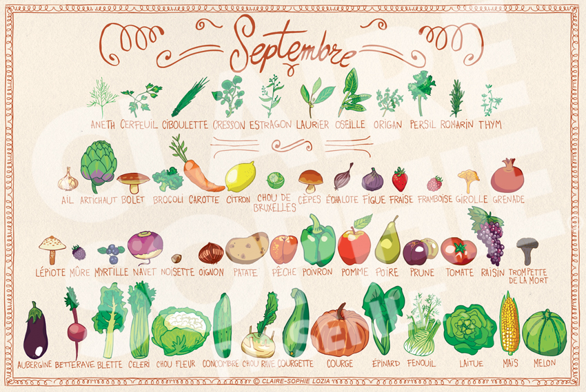 Calendrier de Septembre | pissenlit