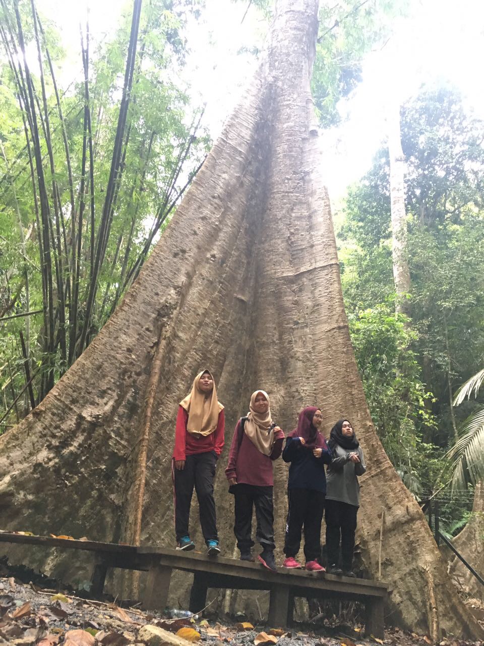 Soliloquy: Pokok Tiga Beradik, UUM