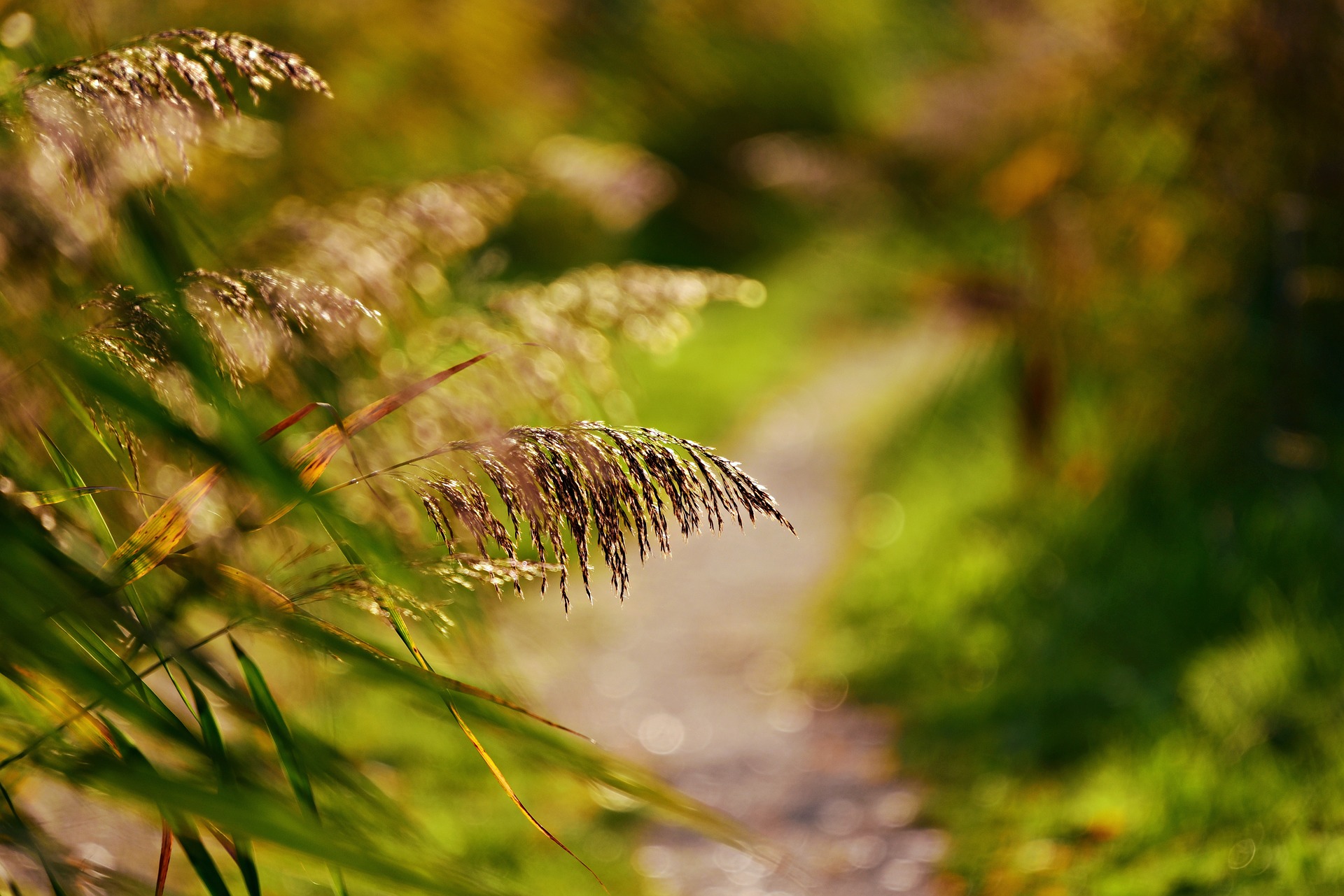 Fresh Insights On Ancient Truths The Fear Of The Lord 5 fresh-insights-on-ancient-truths-the-fear-of-the-lord-5