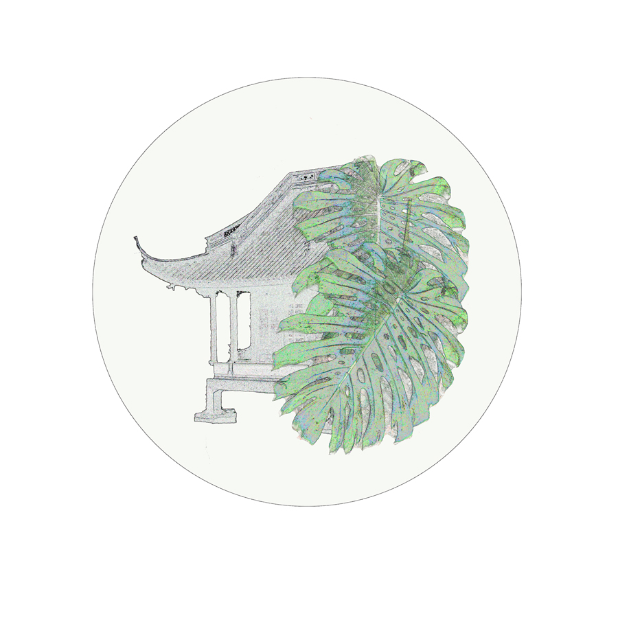 vagoudreauDesigns: pacific island traders : logo & site design