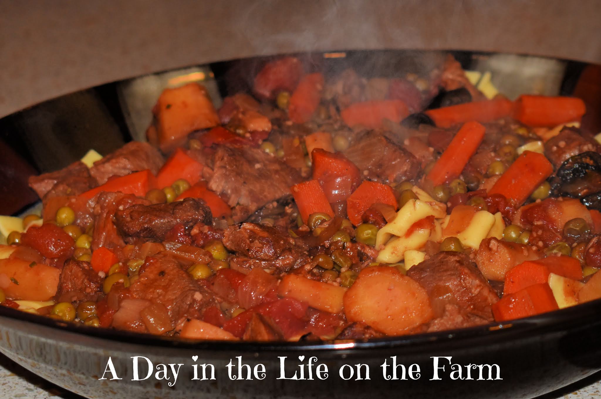 A Day in the Life on the Farm: Beef Daube Provencal with a Bandol Rouge ...