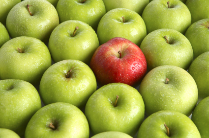 Focal Point Photography Examples