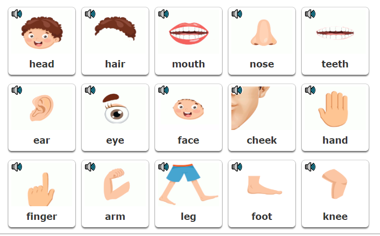 2nd June Repasamos partes del cuerpo con Head, Shoulders Knees and Toes ...