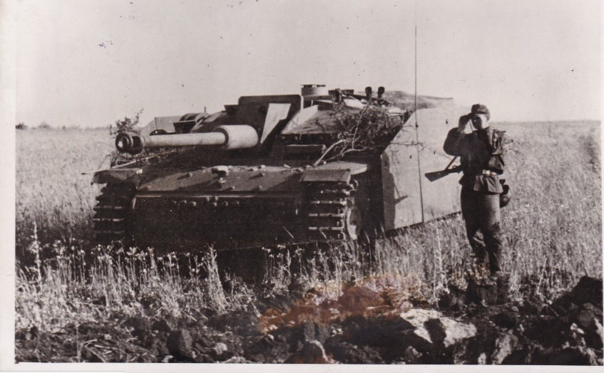 Snapshots from the Ostfront: Tiger Tarnanstrich, Nashorn, Pz IV