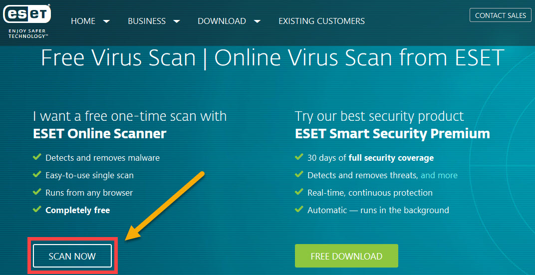 Grecian Geek Genius : Eset Online Scanner