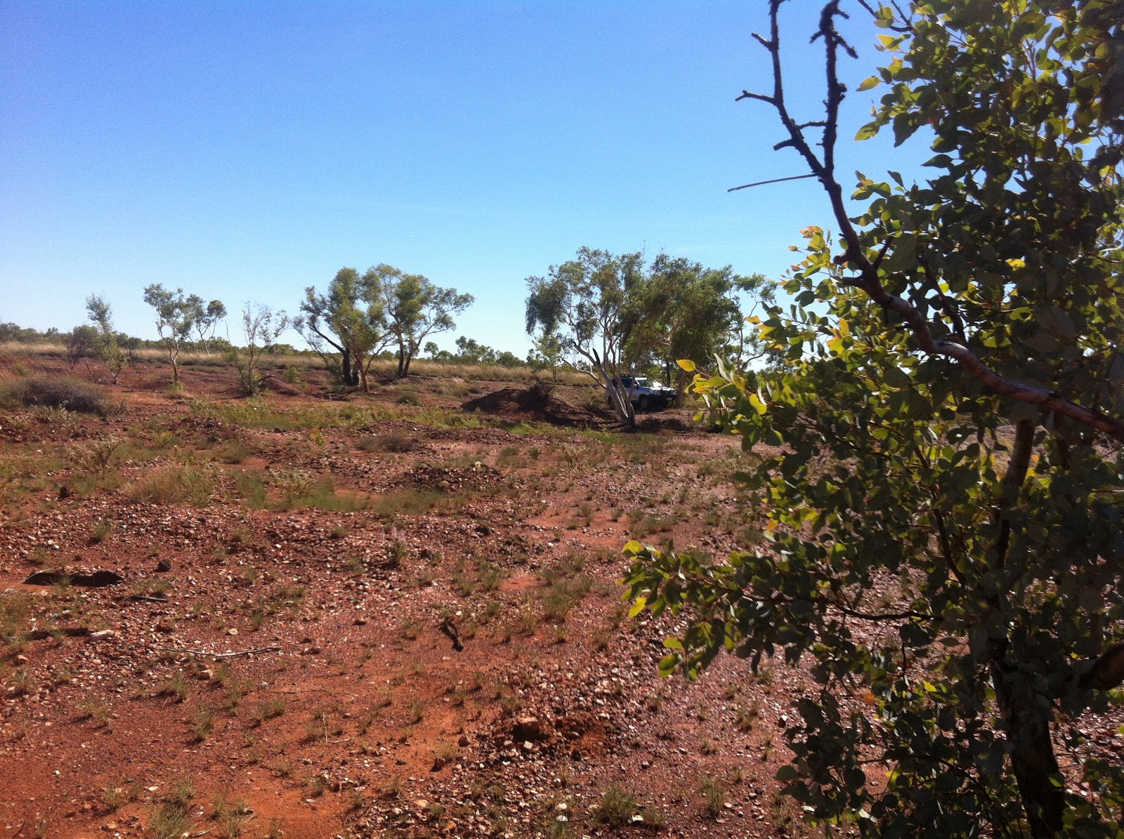 Living, Nursing, Studying and Raising Kids in Remote Australia ...