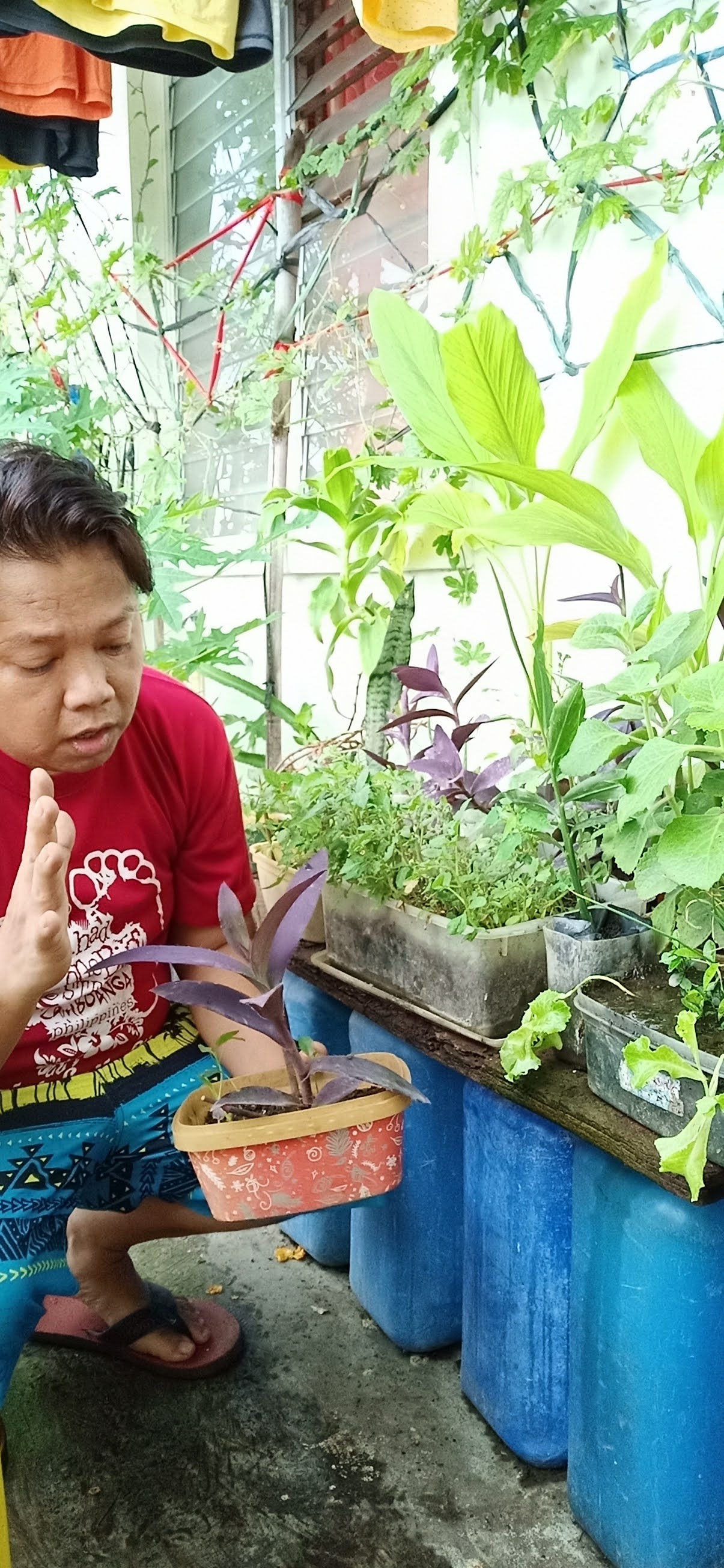 Different Kinds of Plantito/Plantita Visualized ~ Wazzup Pilipinas News ...