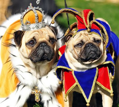 Doutor Pug: A Realeza