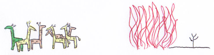 Evolution: The Bottleneck Effect