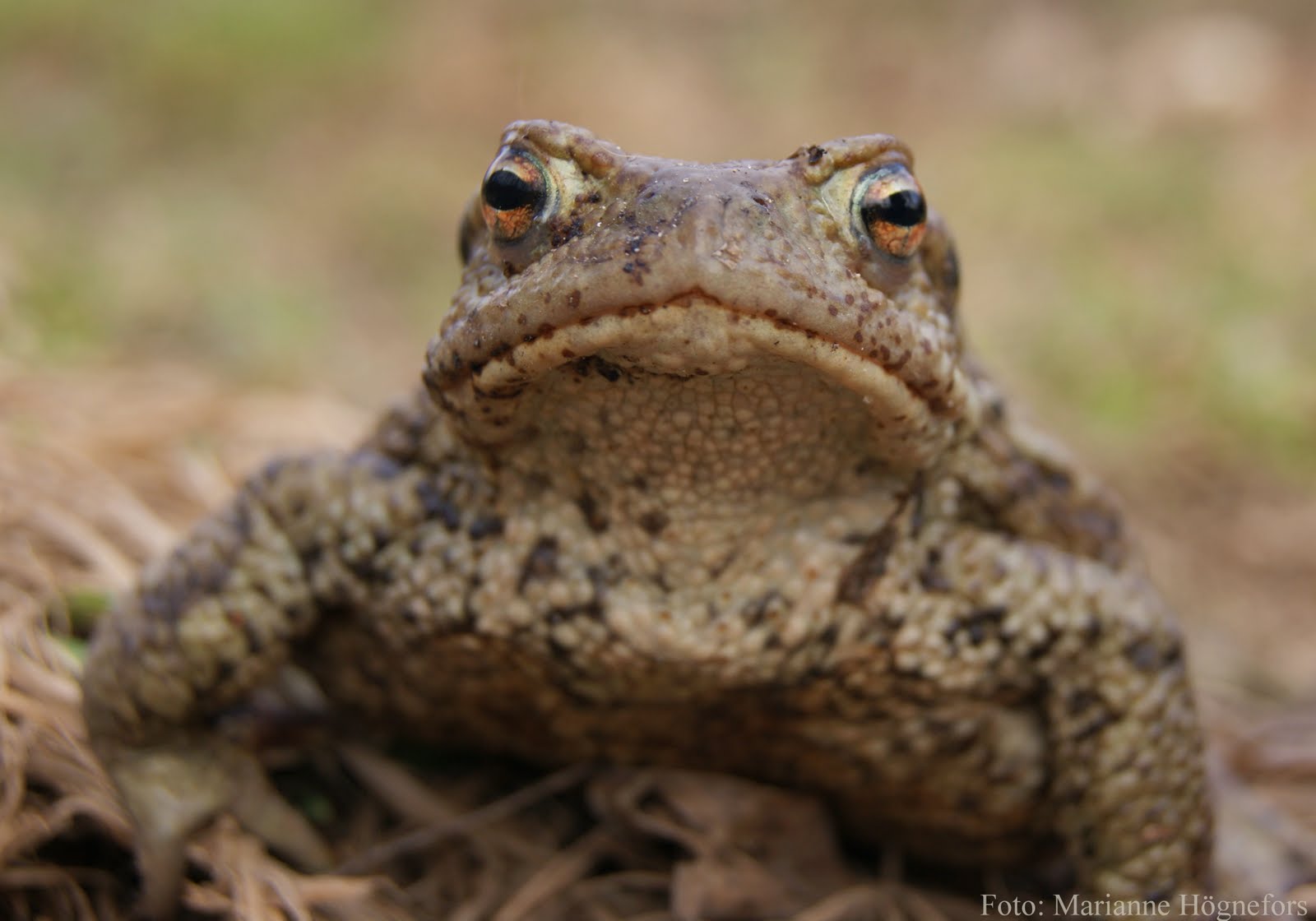 Här var det några som vet hur man snackar fränt med kidsen. : r/sweden