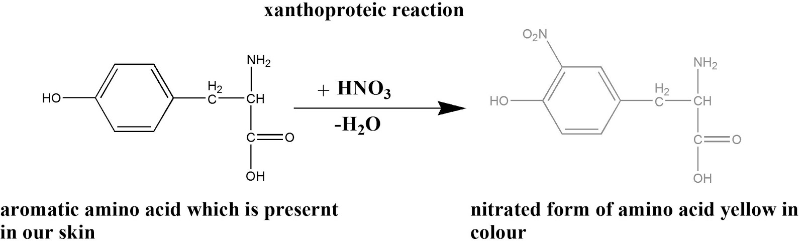 reason behind yellow stain caused by nitric acid in our hands