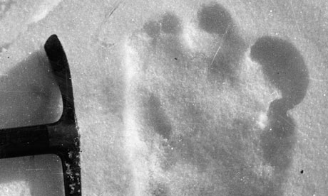 Increased Number Of Yeti Sightings In Russia ~ The Crypto Crew