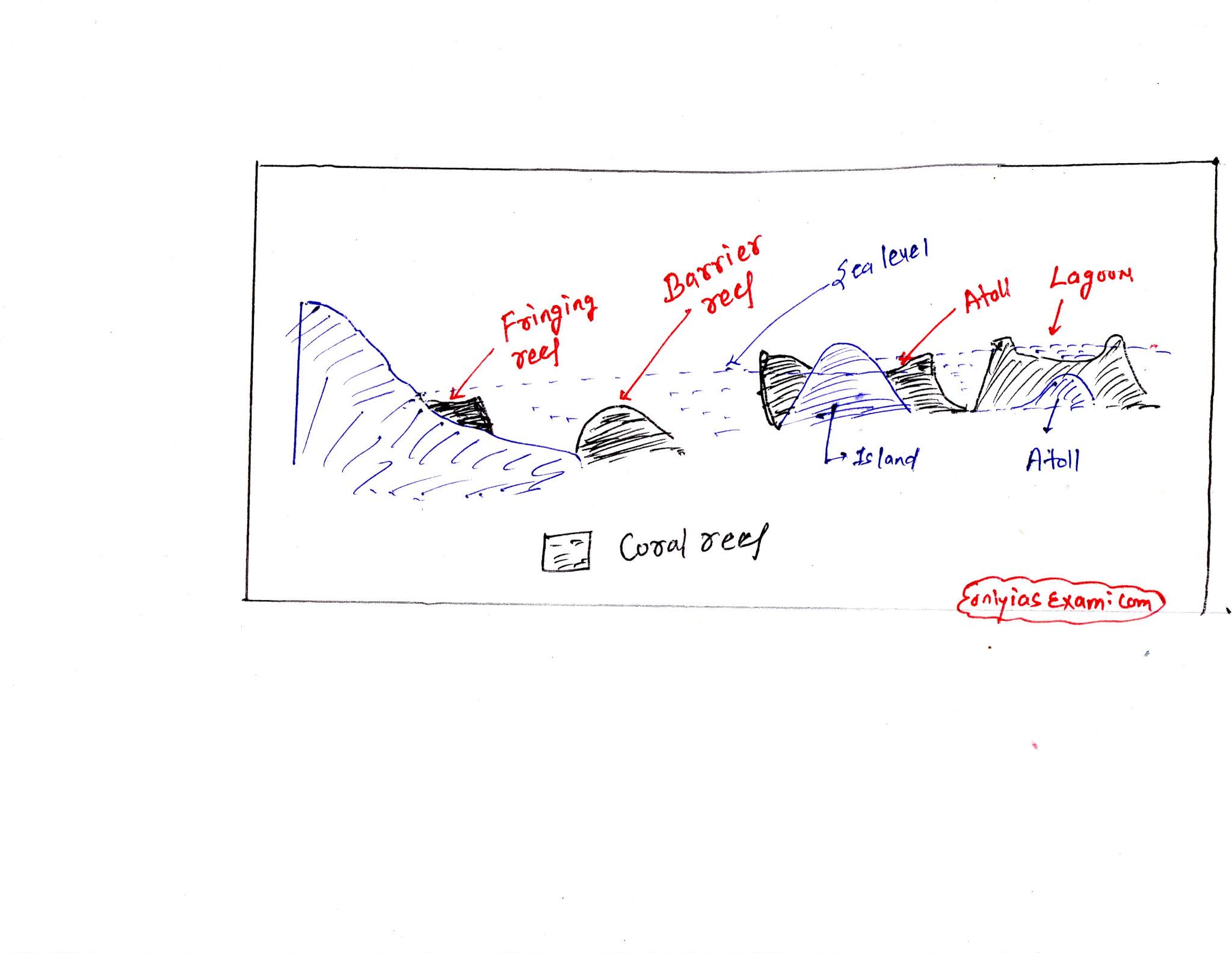 Coral reefs UPSC | Coral bleaching UPSC| Oceanography | Physical ...