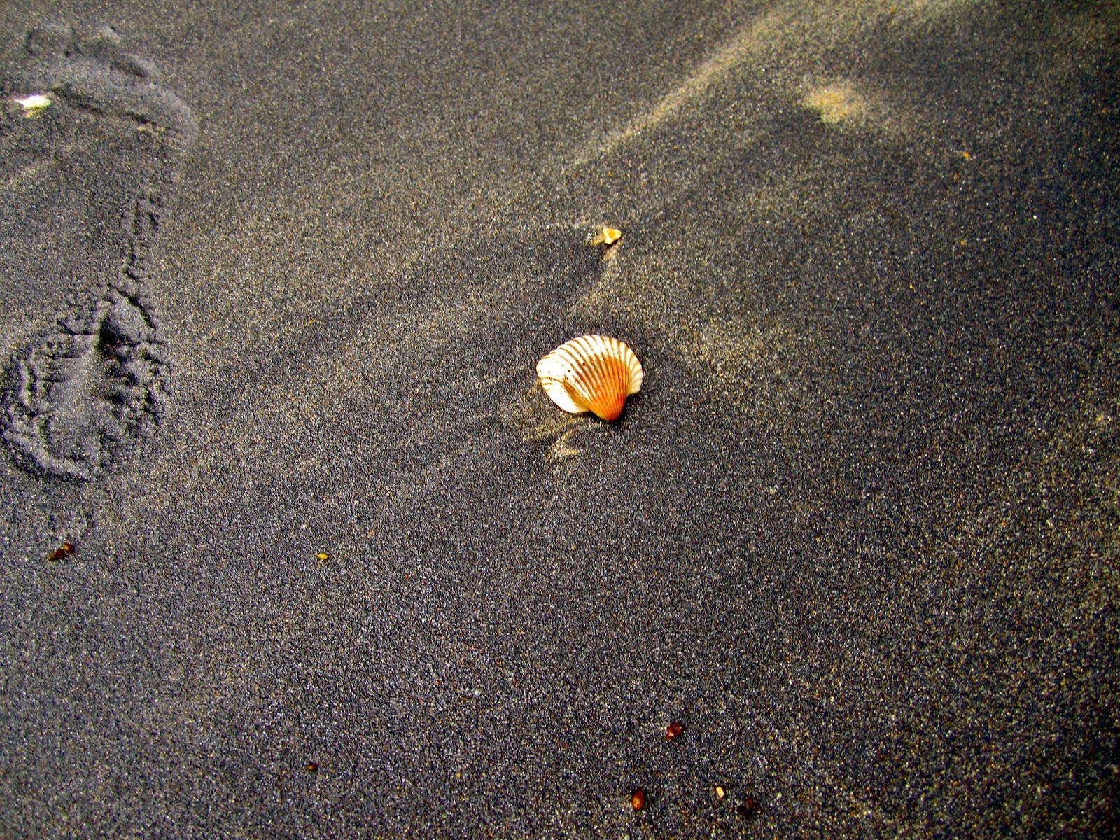 Kupera ja Kovera Aasiassa: Kups&Kops, Khao Lak Thaimaa, day 41