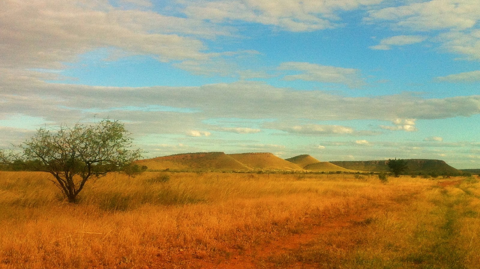 The winding mind: Tanami desert crossing