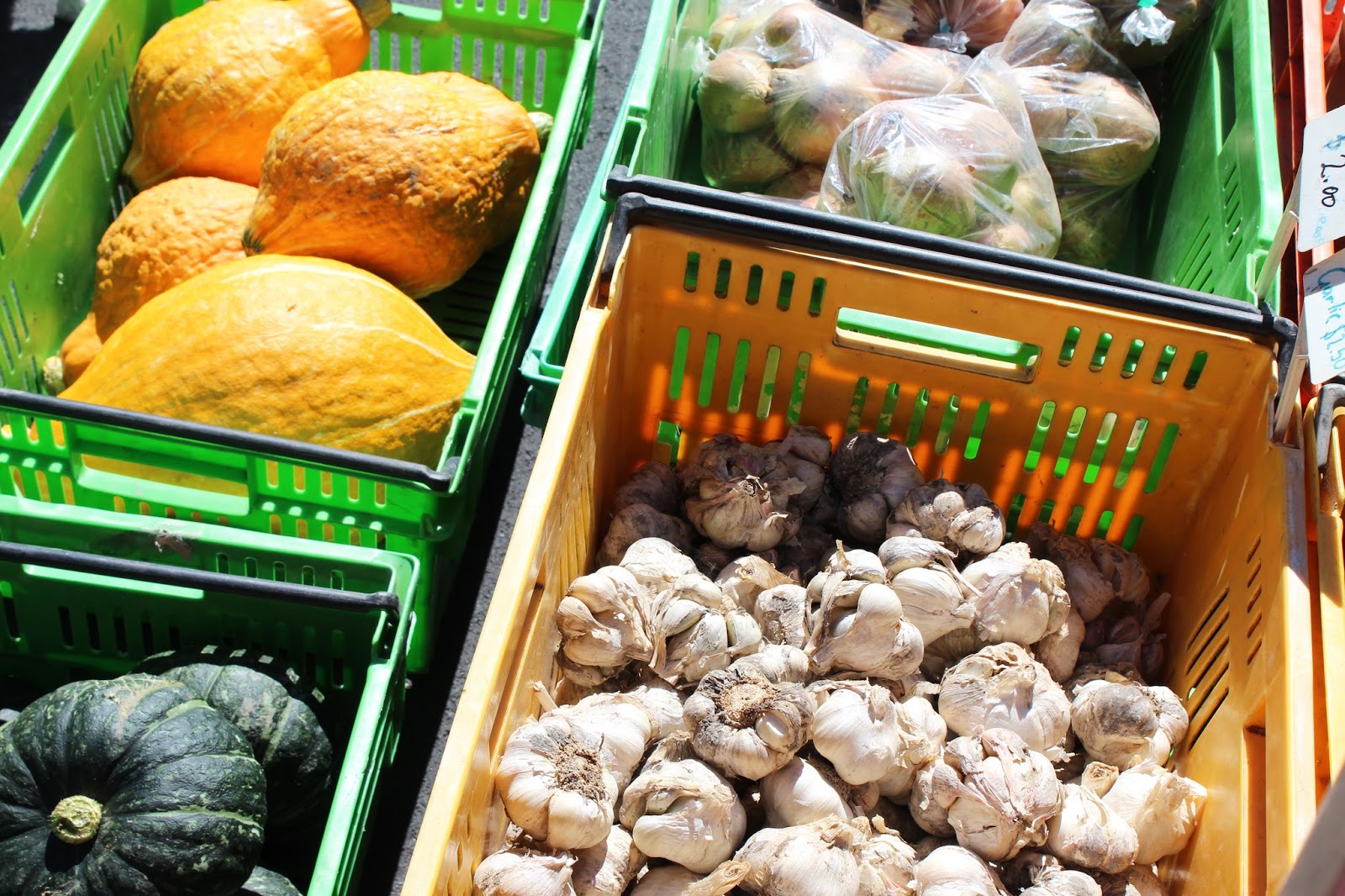 Napier Farmers' Market | GracefullyVintage