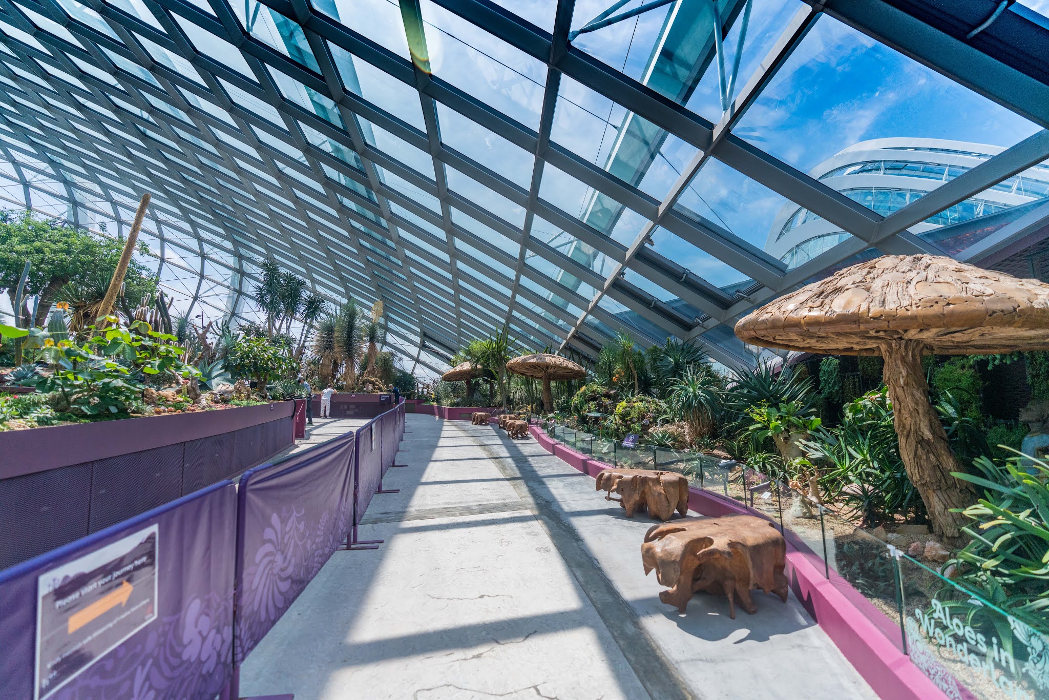 Flower Dome Permanent Gardens @ Gardens By the Bay - TheWackyDuo.com ...