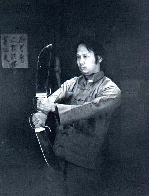 INSTITUTO LI HON KI ARGENTINA: ¿Qué es WING CHUN?