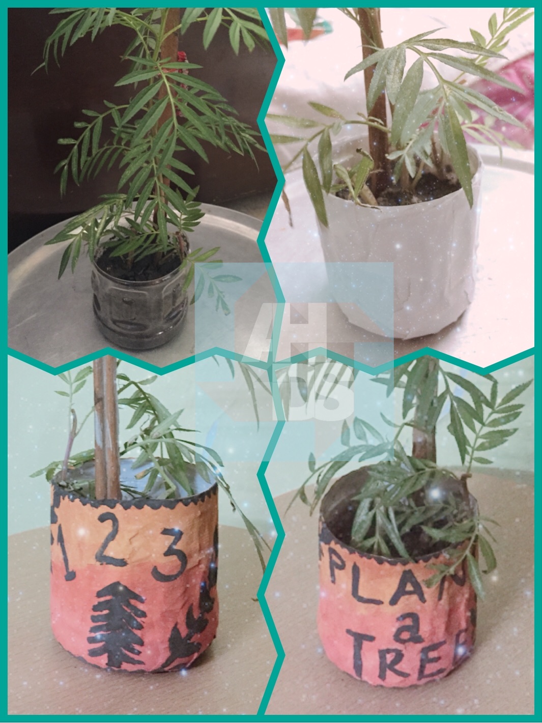 ArchGuide: Recycle a plastic bottle for planting