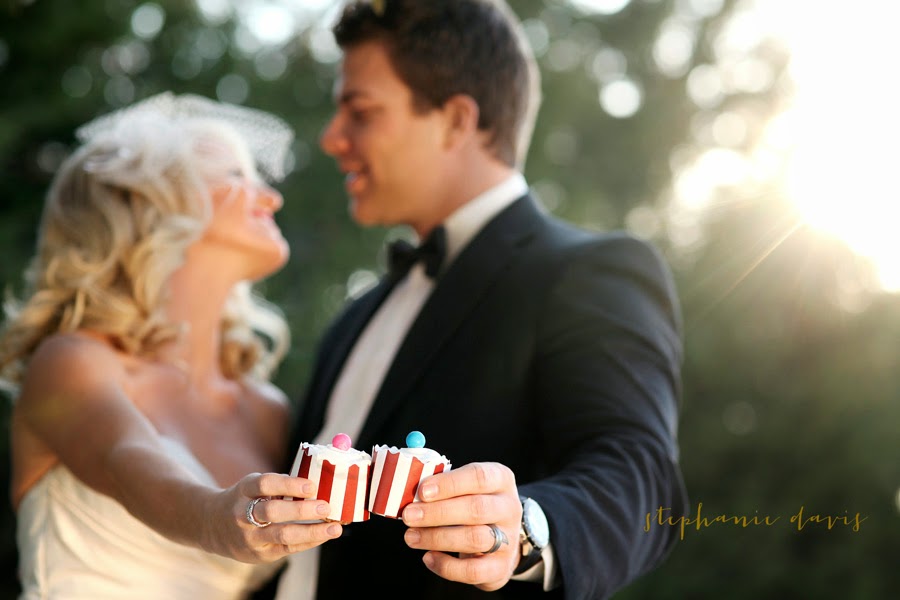 Stephanie Davis Photography