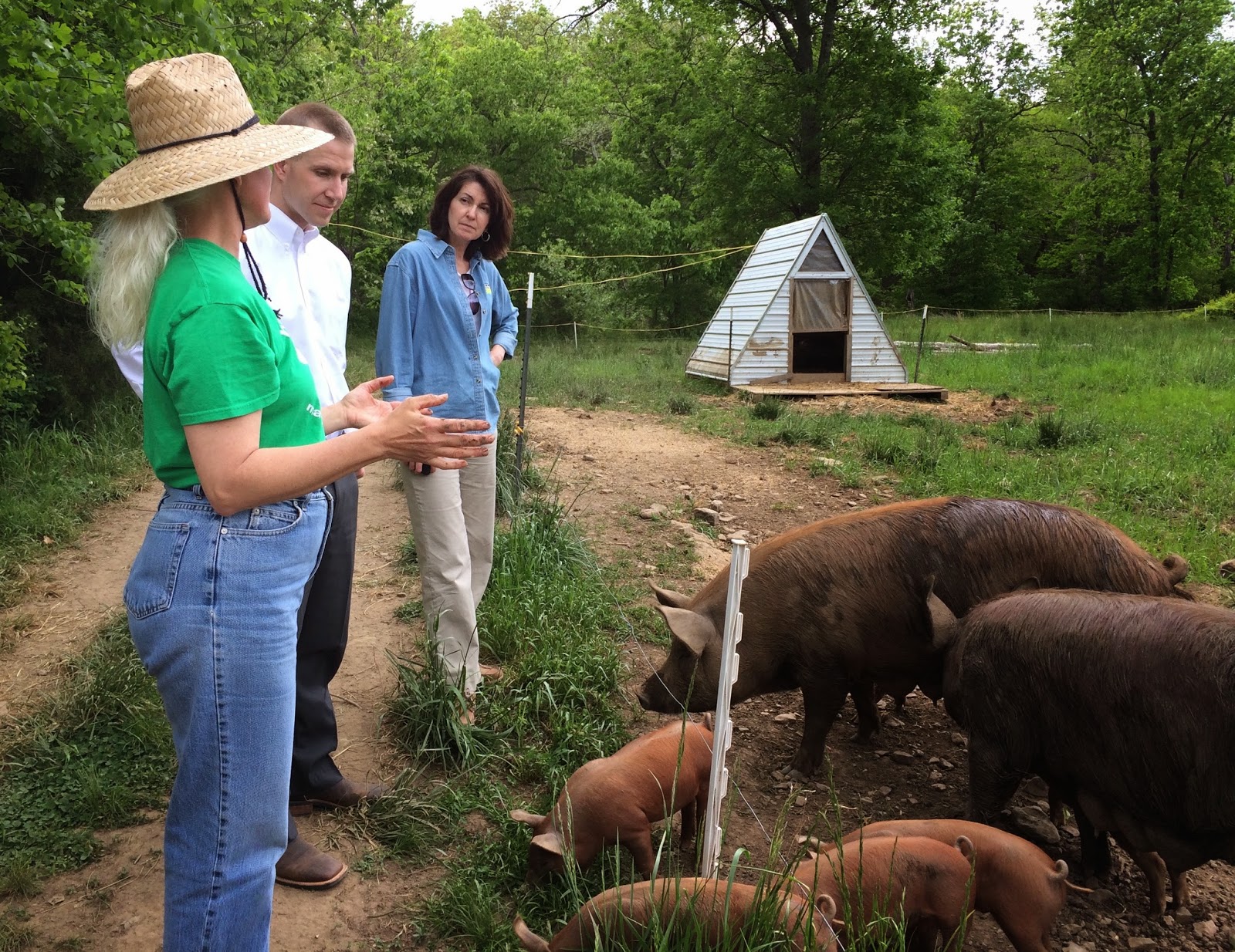 The LL.M. Program in Agricultural & Food Law - University of Arkansas ...