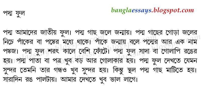 পদ্ম ফুল - Bangla Essay on Lotus Flower | Bangla Essay for Class III