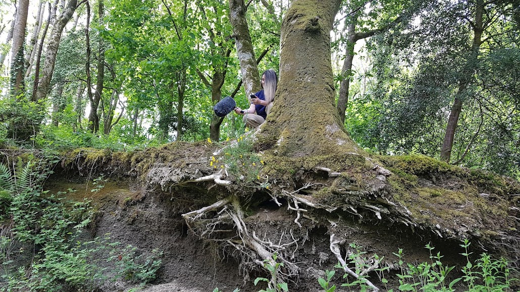 Fusion Inspire : Deep in the Rainforests of Wales: Coracle Adventures ...