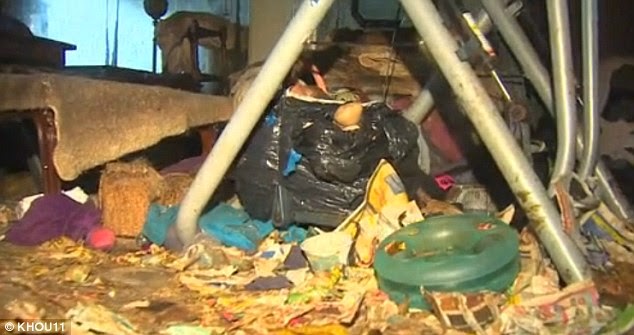 Four legged friends (and enemies): More than 130 cats hoarded by twin ...