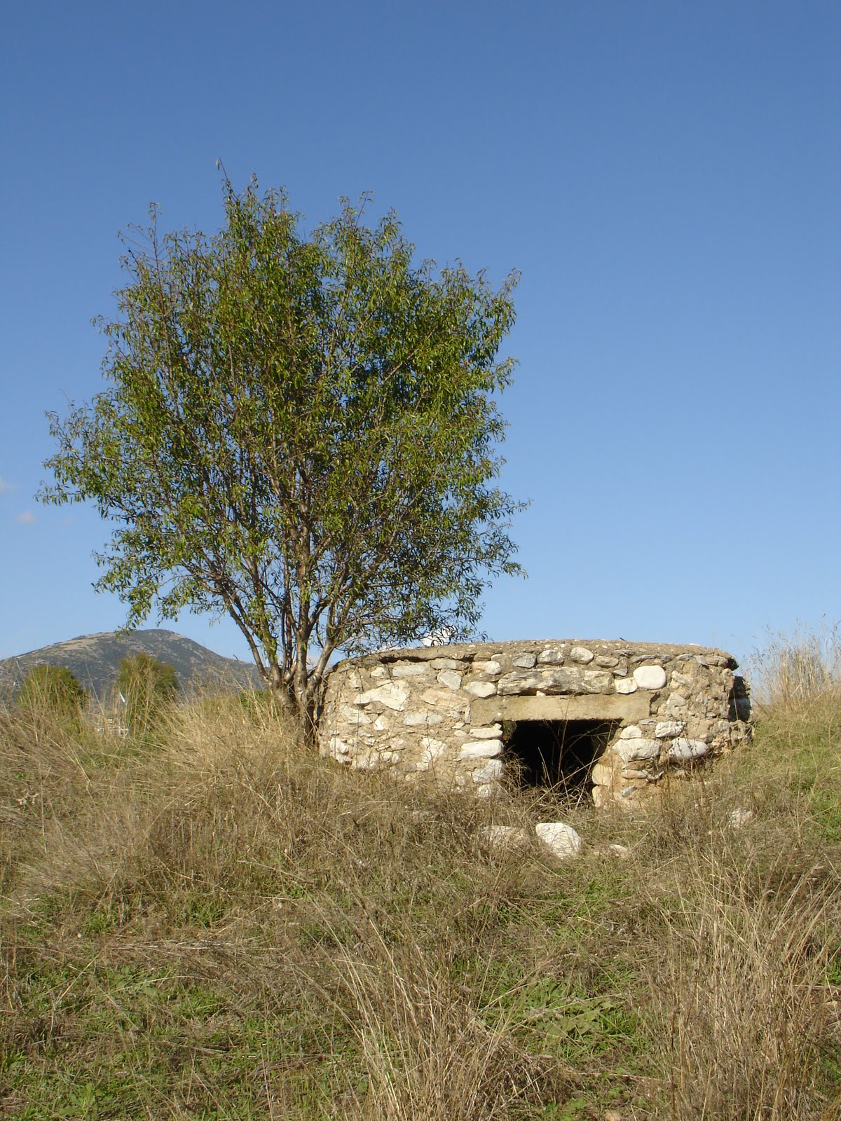 ΑΔΡΙΑΝΗ ΔΡΑΜΑΣ: ΦΩΤΟΓΡΑΦΙΕΣ