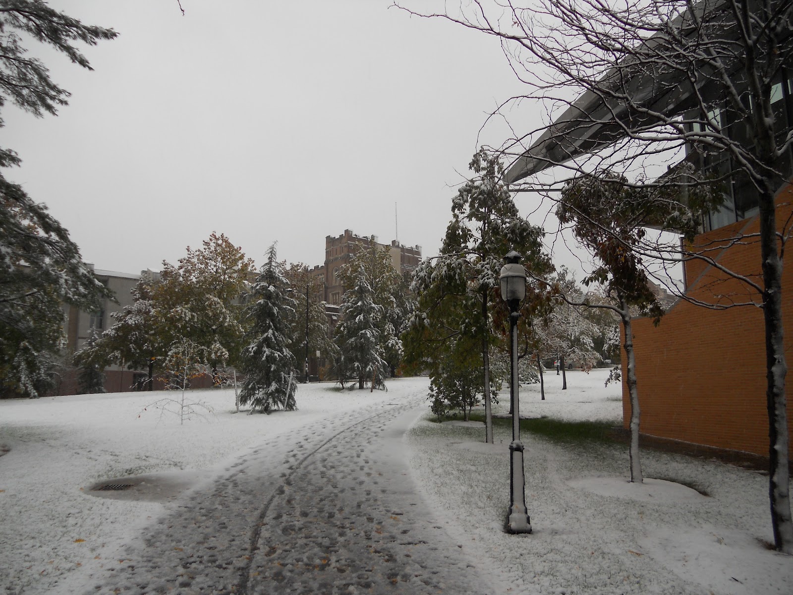 Nature Photography: First Snow at Princeton
