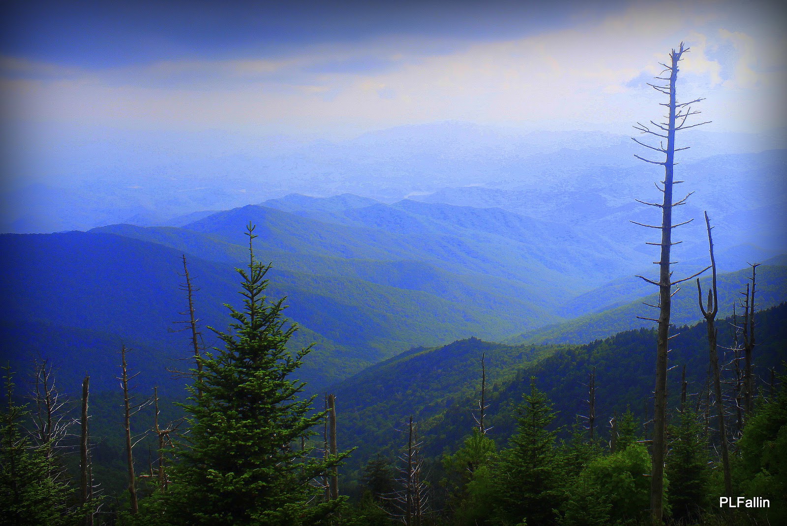 PL Fallin Photography: 'Wind On The Hill' by A.A. Milne