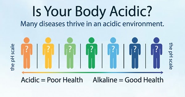 Cashless PH: How To Tell If You Have An Acidic Body, And What To Eat To ...