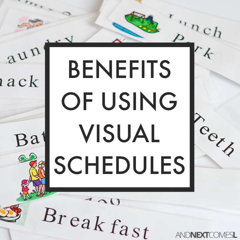 Benefits of Visual Schedules for Kids with Autism &/or Hyperlexia | And ...