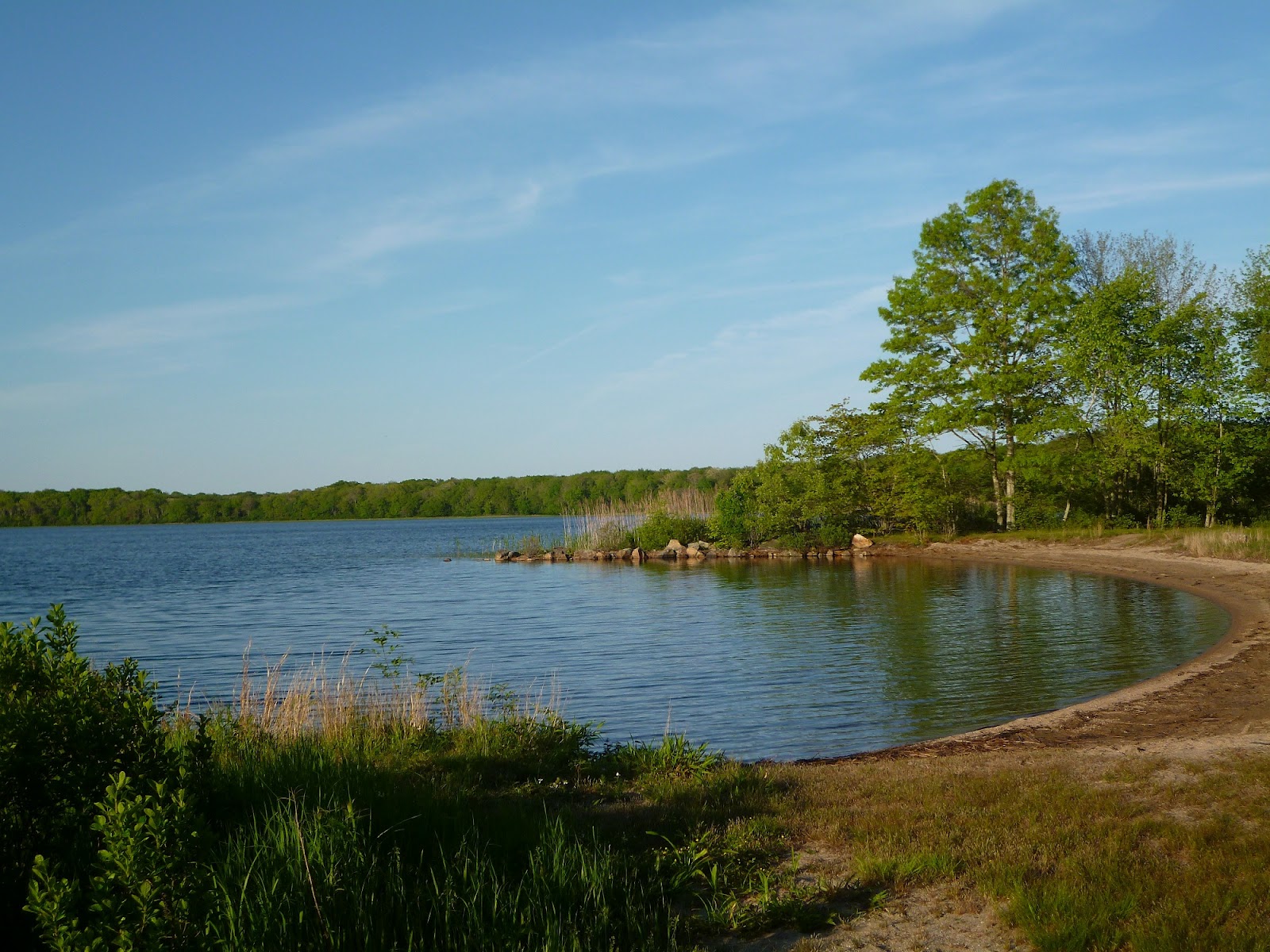 Donna's Writing World: New York City and Beyond