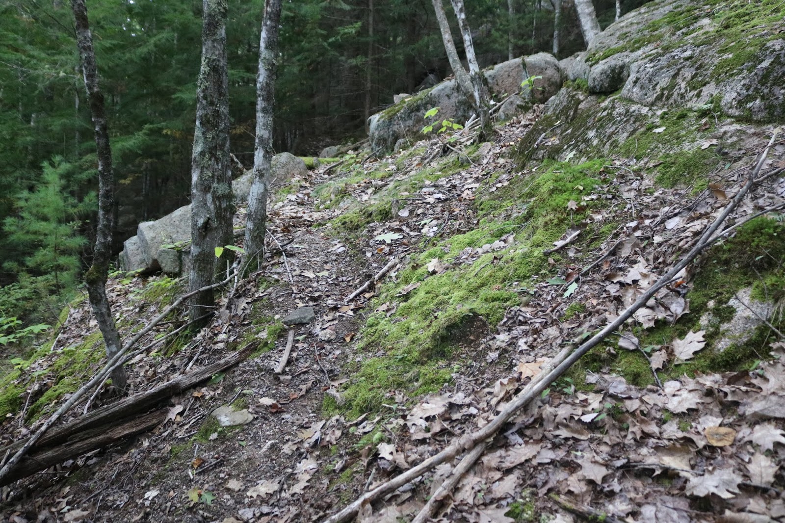 ABANDONED TRAILS OF ACADIA NATIONAL PARK: KEBO MOUNTAIN'S LOST STAIRWAY ...
