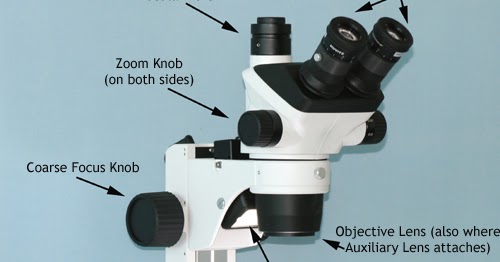 Microscope World Blog: Stereo Microscope Parts