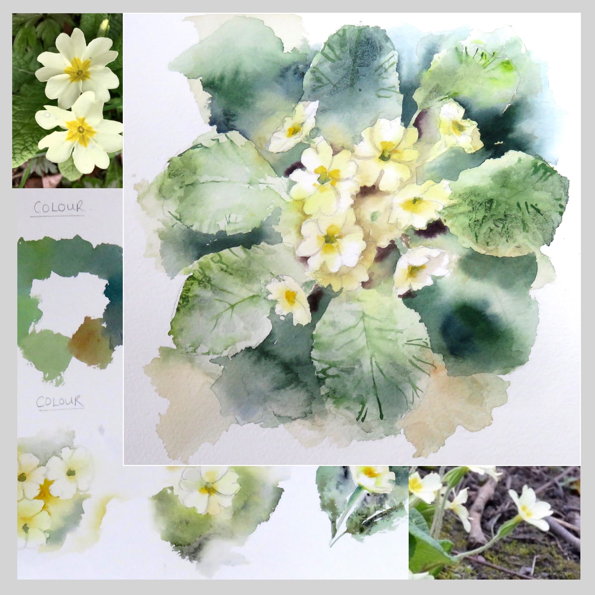 Kaye Parmenter Artist: Wild Primroses - watercolour, loose and simple