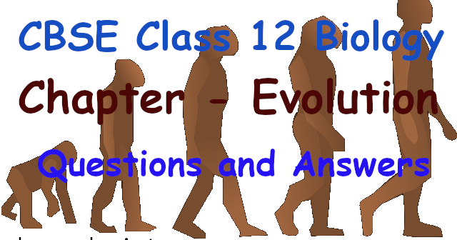 CBSE Papers, Questions, Answers, MCQ ...: CBSE Class 12 - Biology ...