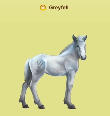 Ultimate Howrse: Baby Greyfell