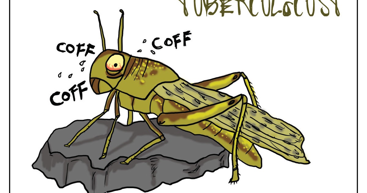 Skeleton Blog: Tuberculocust
