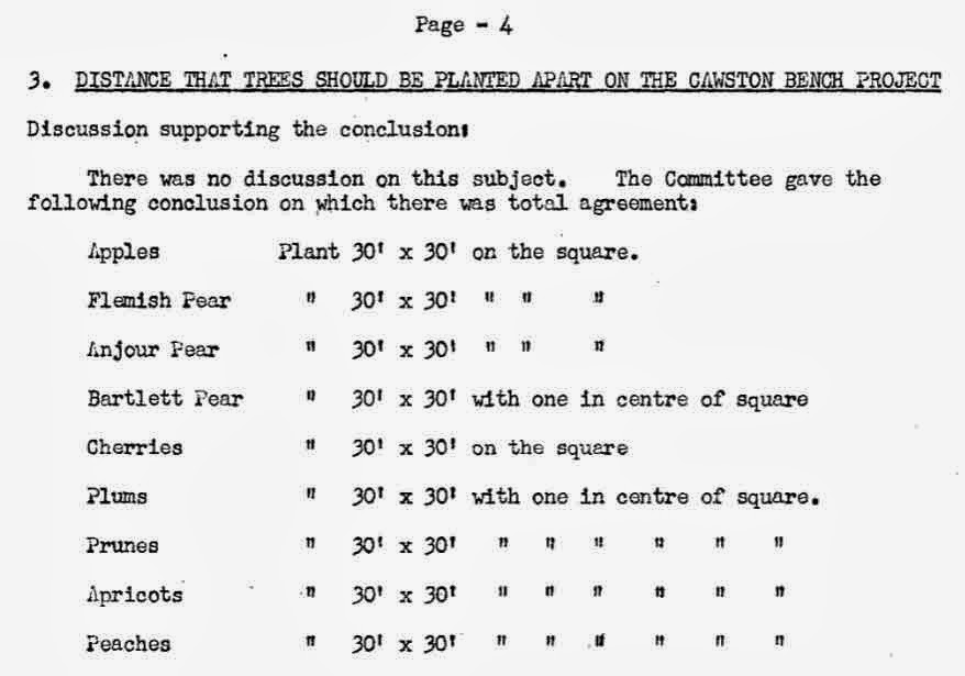 What Is Quincunx Method Of Planting at George Bousquet blog