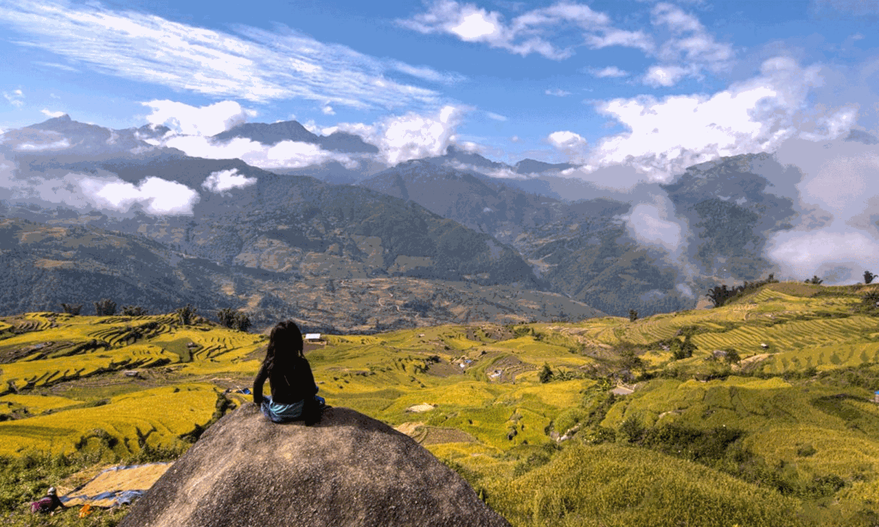 Đến Fansipan Sapa vào mùa lúa chín vàng