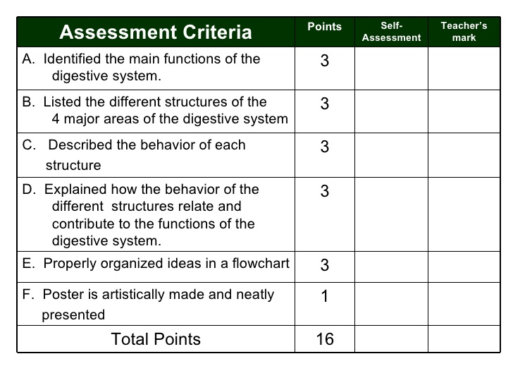 System and performance assessment Criteria - Project Management | Small ...