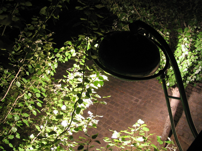 Journeys of heart and mind: Obedience