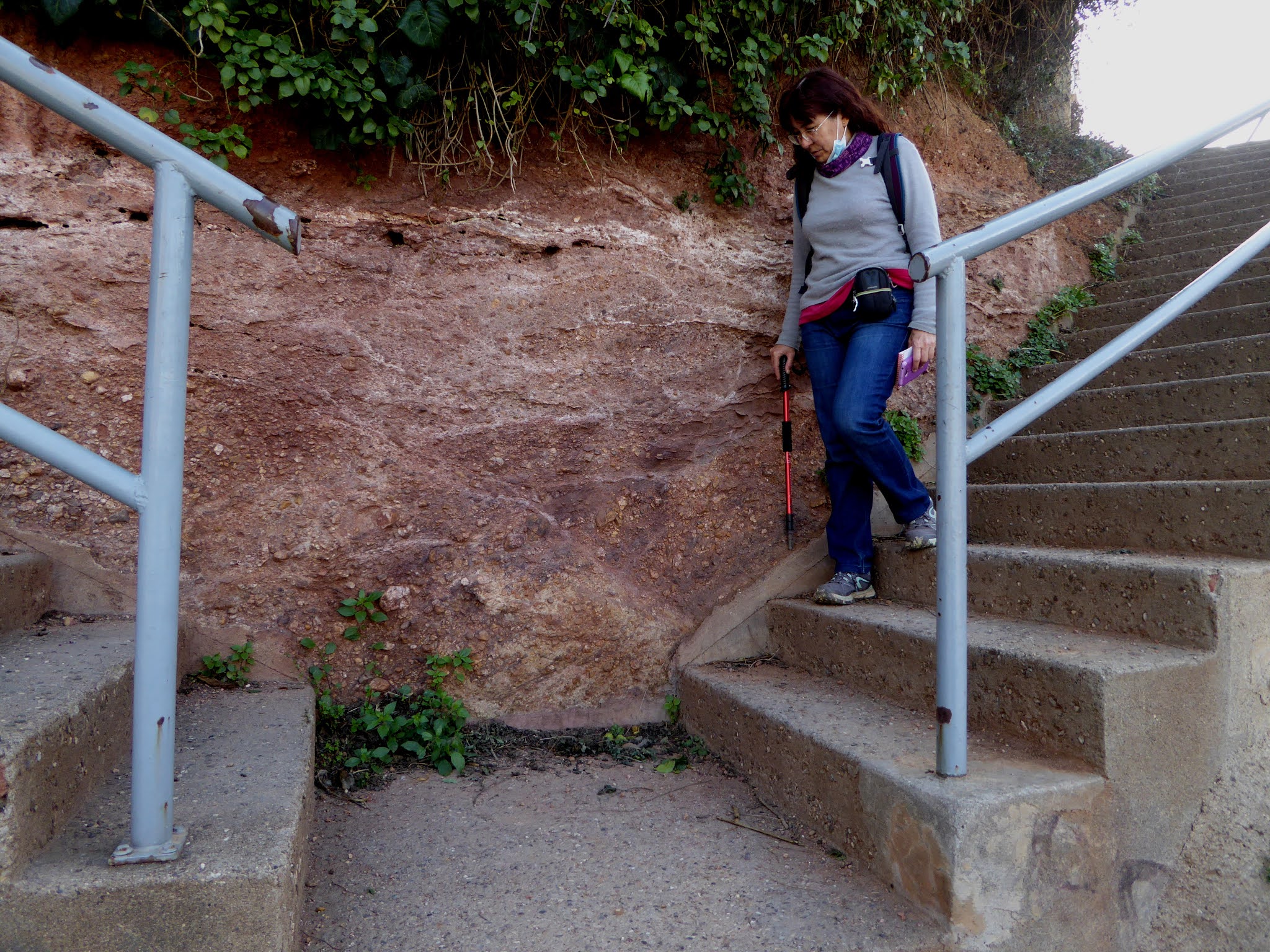 Amics del Museu Geològic del Seminari de Barcelona: Isabel Benet ...