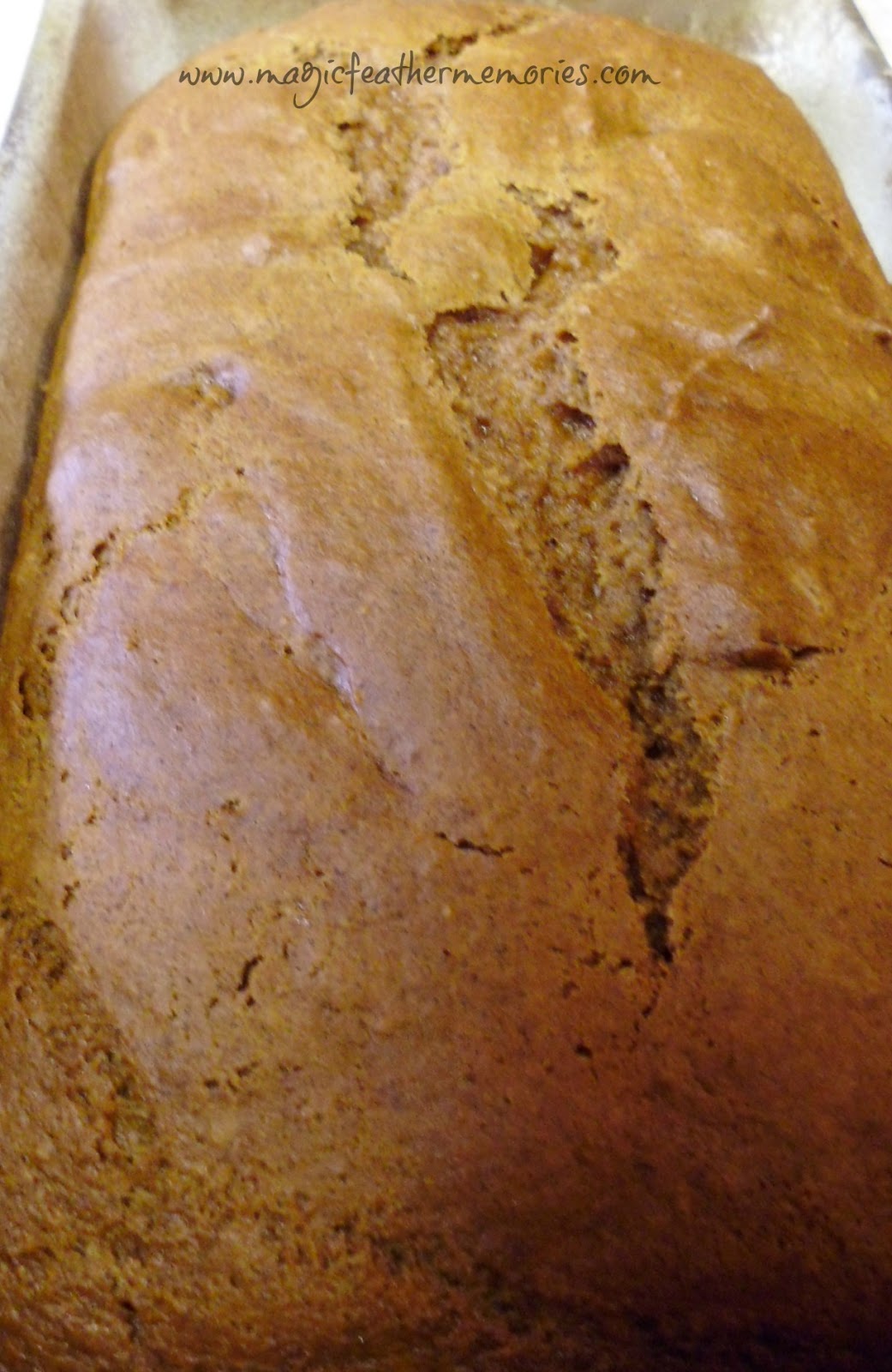 Goofy's Kitchen Pumpkin Bread