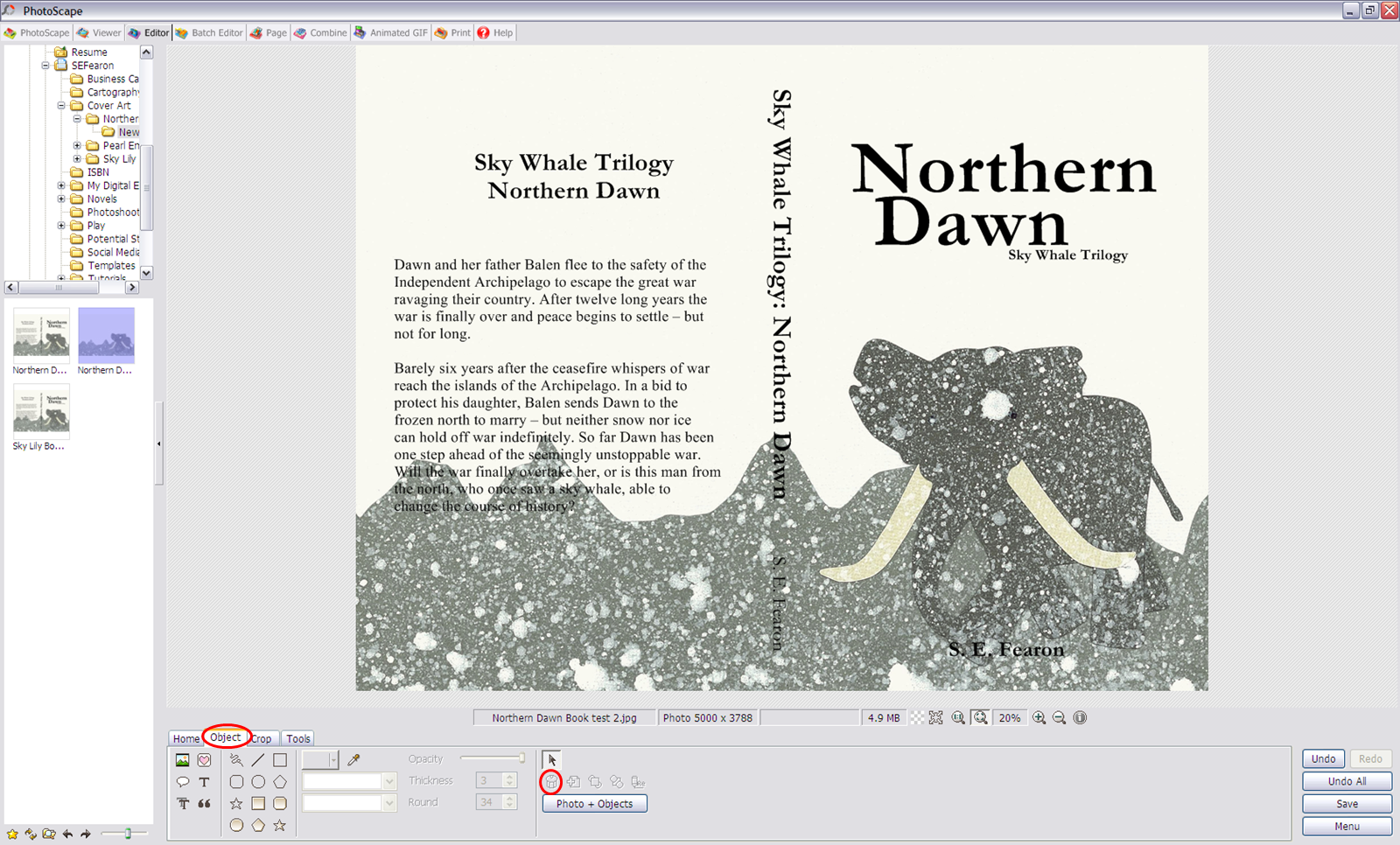 How to create a book cover using free photo editing software | S. E. Fearon