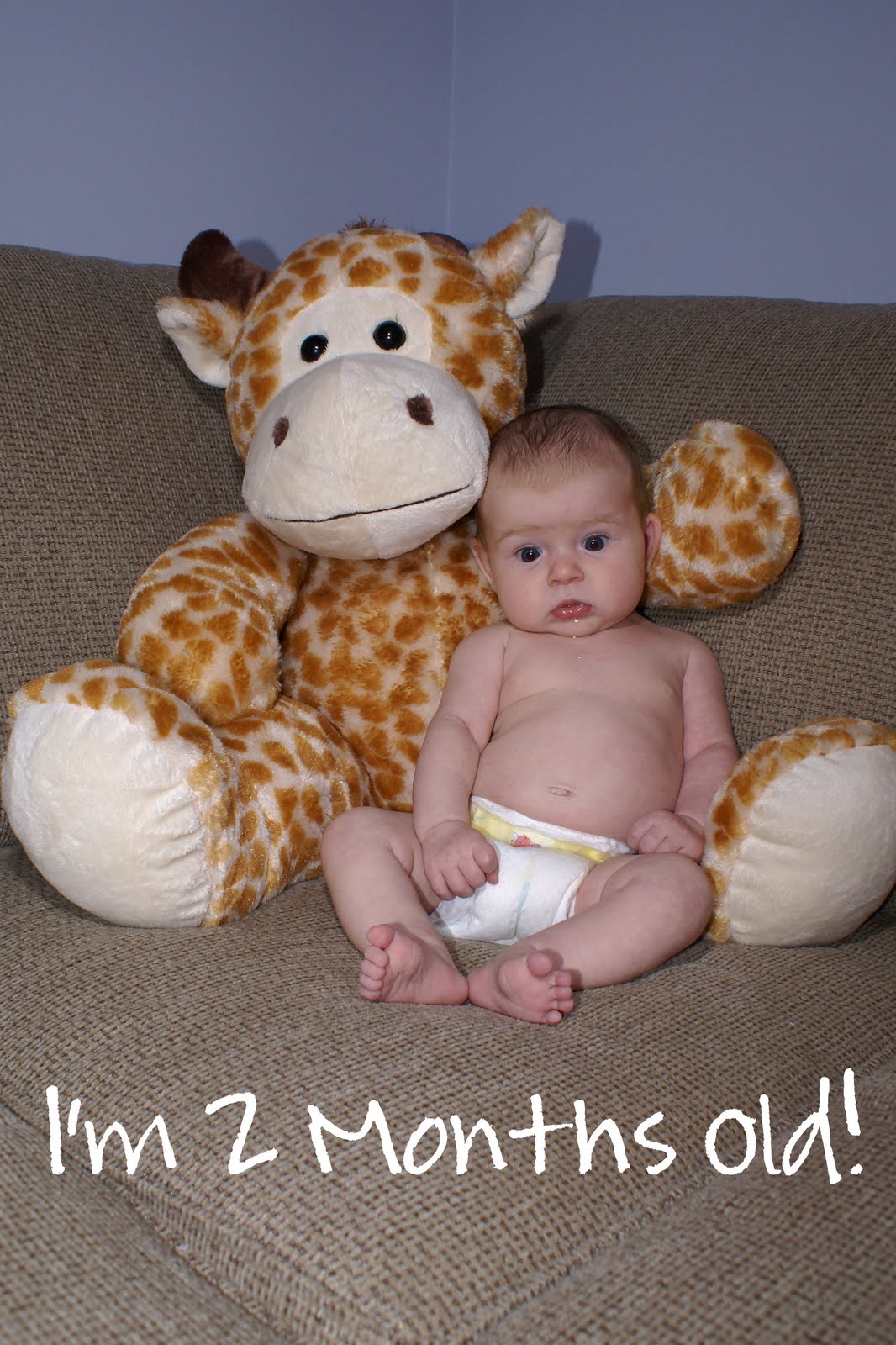 The Happy Yappy Scrapper: Rhylan is 2 Months Old!