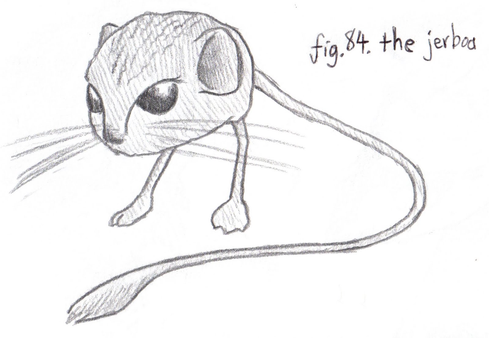Jun Makes Stuff: #102 The Jerboa