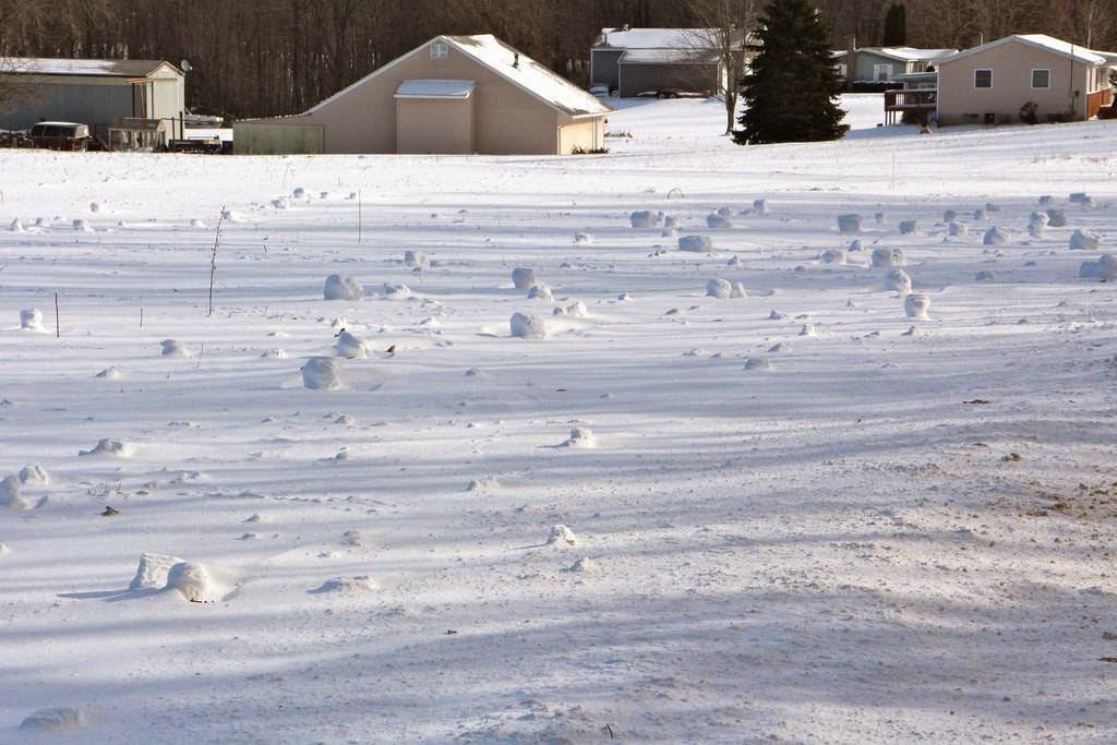 Snow Rollers: Nature’s Winter Treat ~ Kuriositas